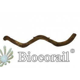 Liana Root 90cm - KOMODO - Biocorail