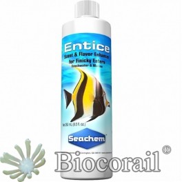 Entice - 250 ml - SEACHEM - Biocorail